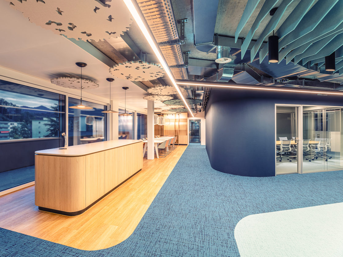 Sail Forest | Habitat Matter