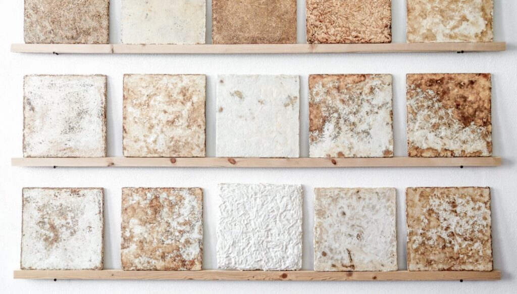 Mogu: Mycelium Acoustic Panels