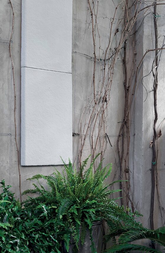 Mogu: Mycelium Acoustic Panels